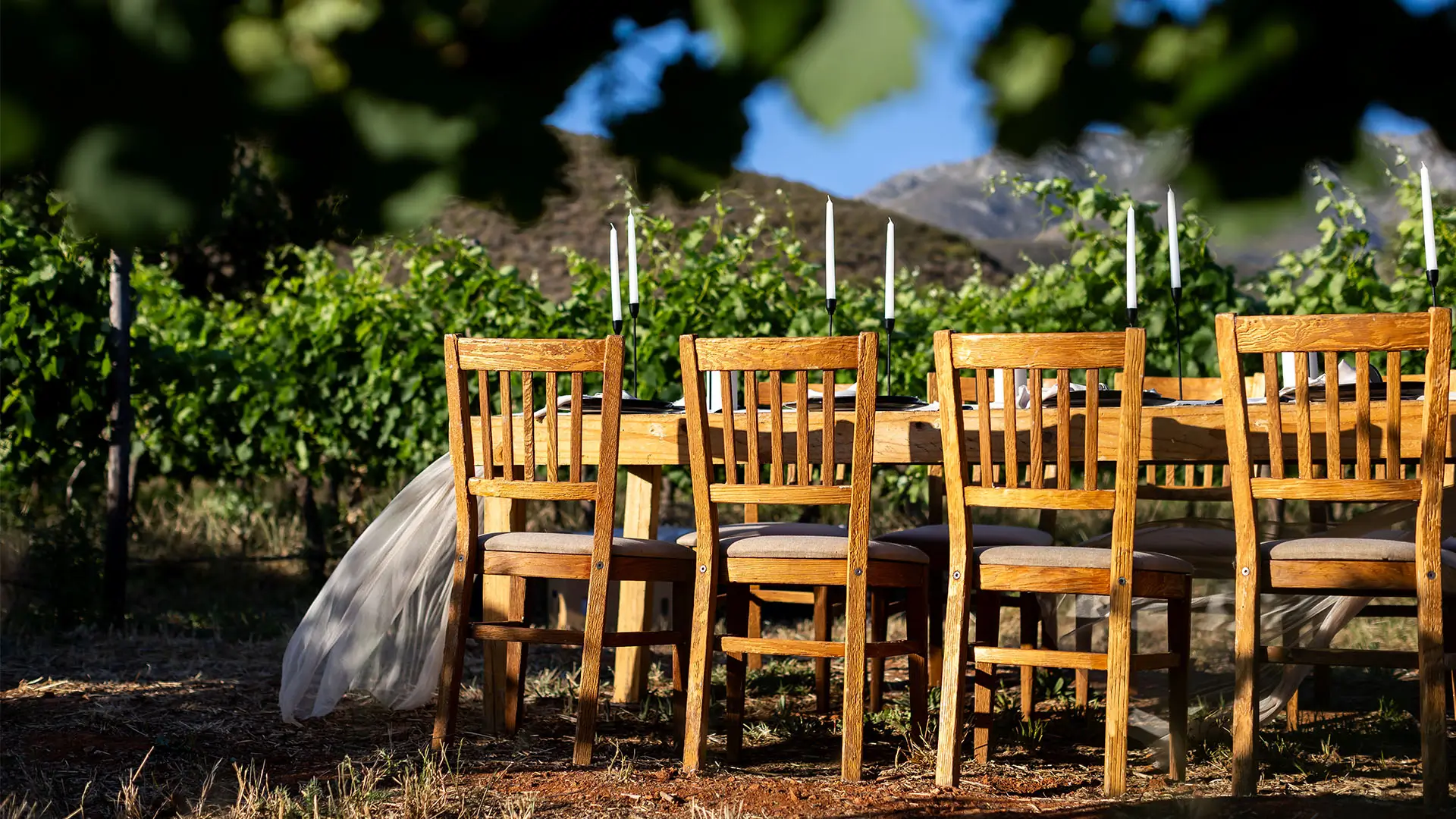 Pre-event Setup - Best Events - Dine, Décor and Tent Solutions